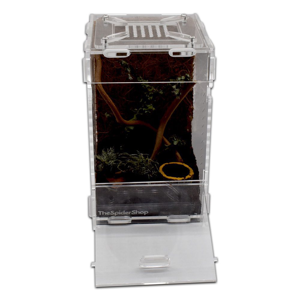 Acrylic Arboreal Terrarium - The Spider Shop