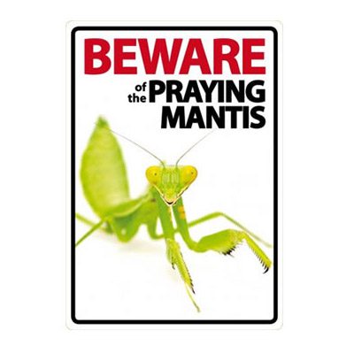 Beware of the Mantis Sign - The Spider Shop
